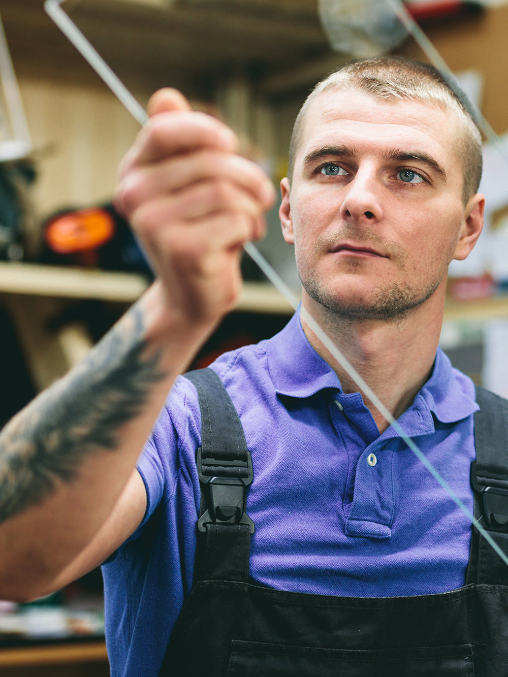 PROLINE | QLD Building Solutions: Aluminum Windows, Doors & Metalwork